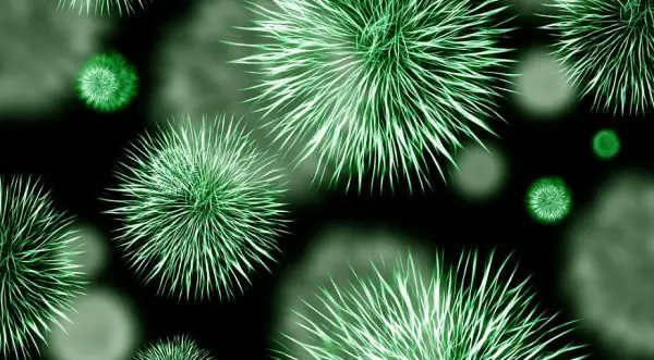 Unique bio hydrogen production processes creates fast on-demand energy ...