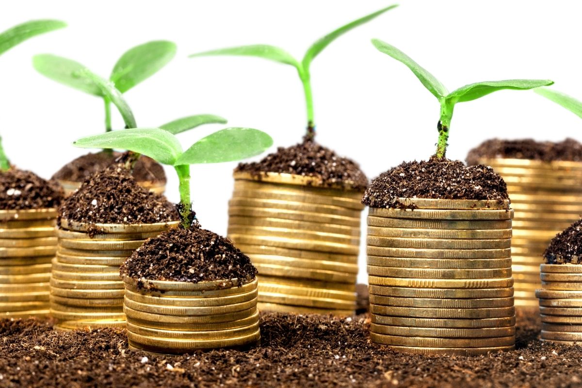 Multi-billion Green Hydrogen Investment Comes From Spanish Consortium ...