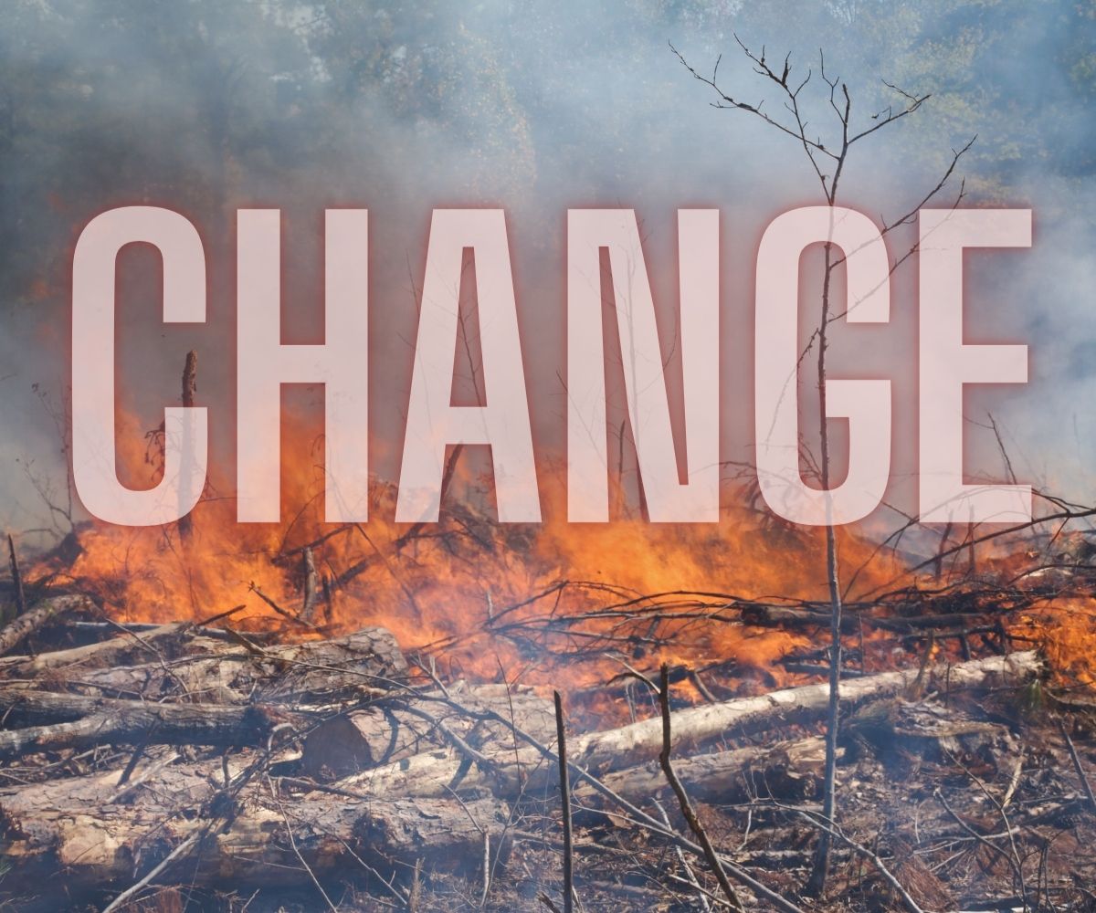 Could Mote's Innovative Process Be The Solution To Affordable Hydrogen ...