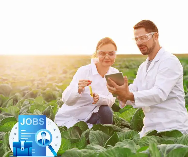 Biomass Energy: Pros And Cons Explained – Hydrogen Fuel News