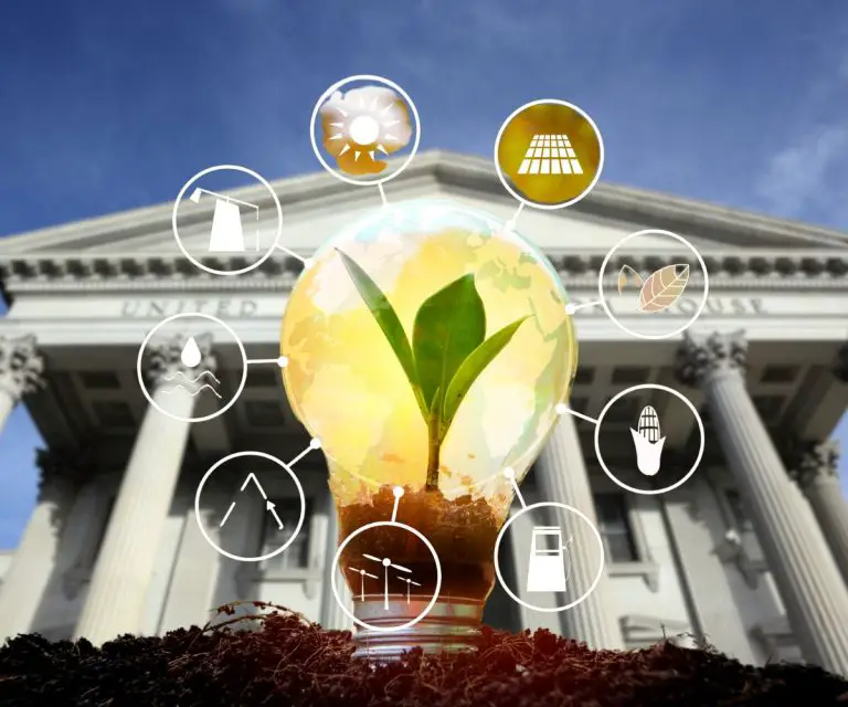 Biomass Energy: Pros And Cons Explained – Hydrogen Fuel News