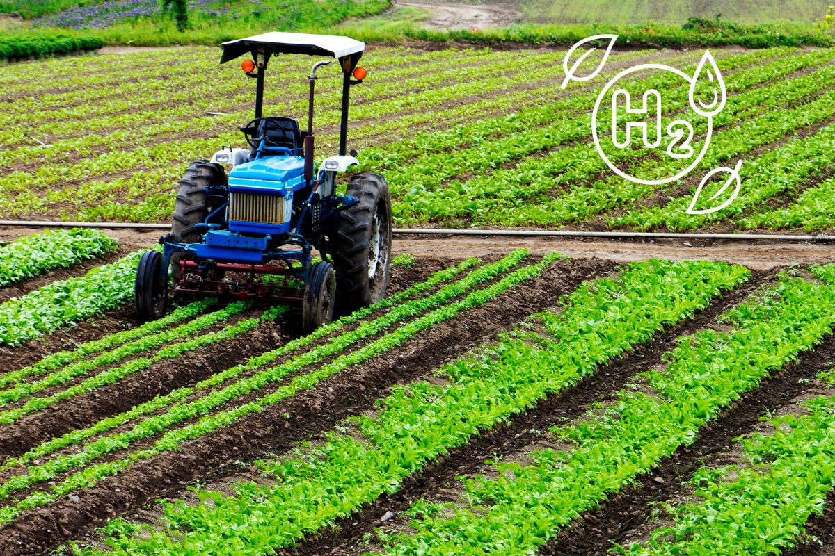 Hydrogen farming – Hydrogen Fuel News