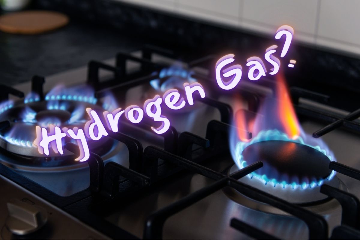 Will Hydrogen Gas Become A Home Cooking Fuel? Hydrogen News